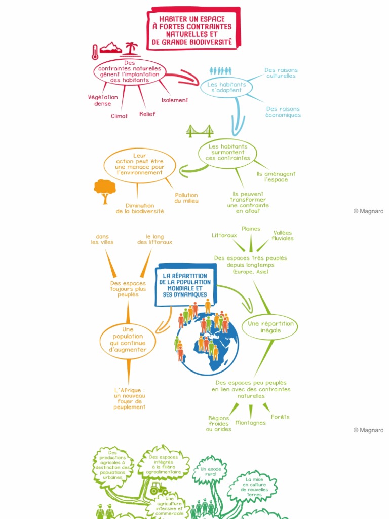 Cartes Mentales 6ème, Histoire, Géographie, EMC | PDF