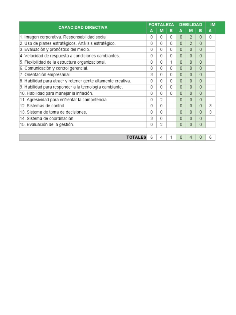 Matrices Pci y Efi | PDF | Marketing | Business