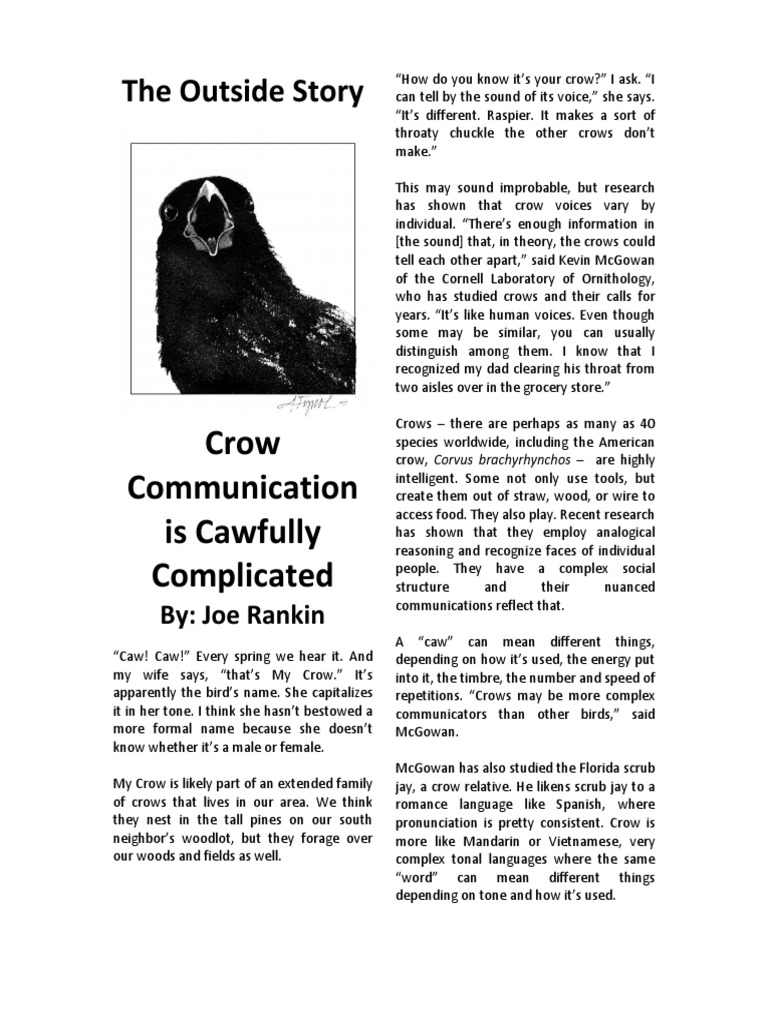 TOS Crow Vocalizations | Download Free PDF | Tone (Linguistics ...