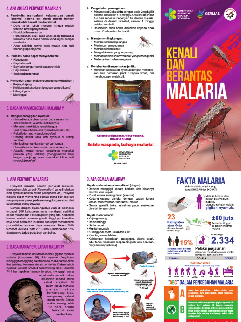 Leaflet Malaria | PDF