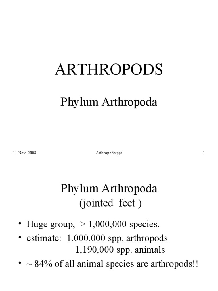 Arthropods: Phylum Arthropoda | PDF | Zoology | Arthropodology