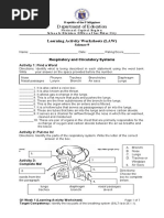 Circulatory and Respiratory Review | PDF | Circulatory System | Blood
