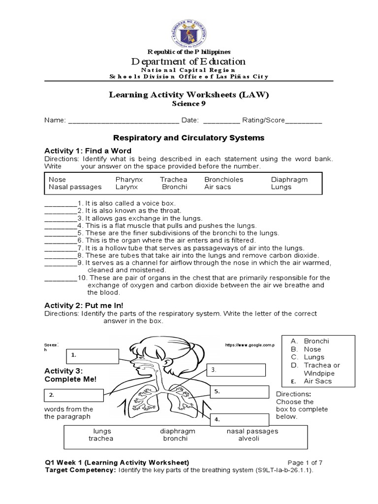 Learning Activity Worksheet Science 9 Q1 Weeks 1 2 | PDF | Atrium ...