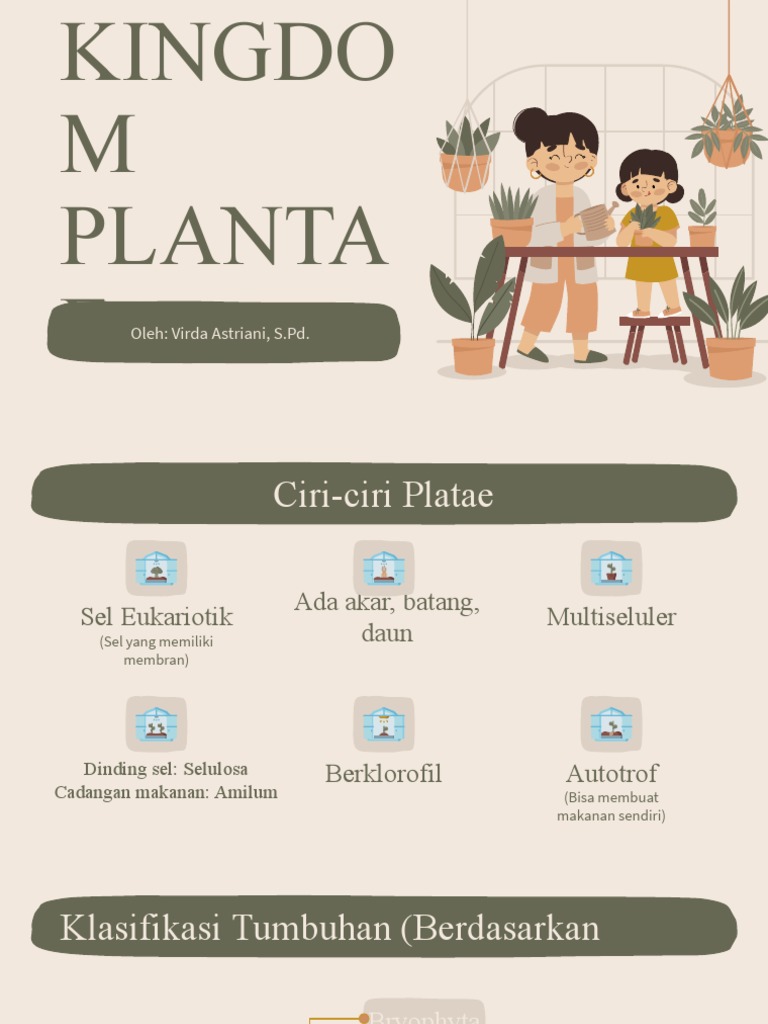 Bryophyta by Virda | PDF