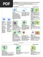 WBC Manual Count Using Hemocytometer | White Blood Cell | Blood