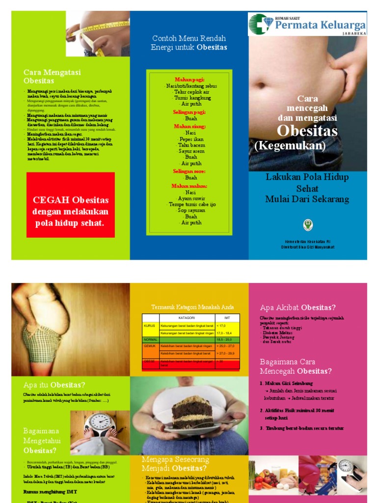 Leaflet Rendah Kalori (Obesitas) - 1 | PDF