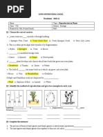 Worksheet Testing A Leaf For Starch | PDF