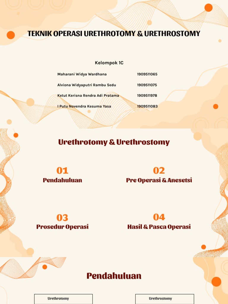 C1 - Urethrotomy & Urethrostomy | PDF