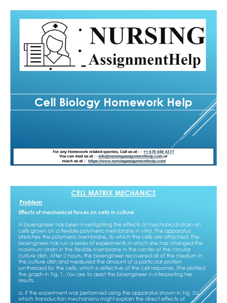 Cell Biology Homework Help | PDF | Cell Membrane | Cell (Biology)
