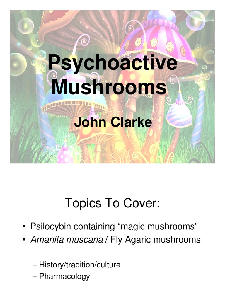 Psychoactive Mushrooms Presentation | PDF | Neuroscience | Psychoactive ...