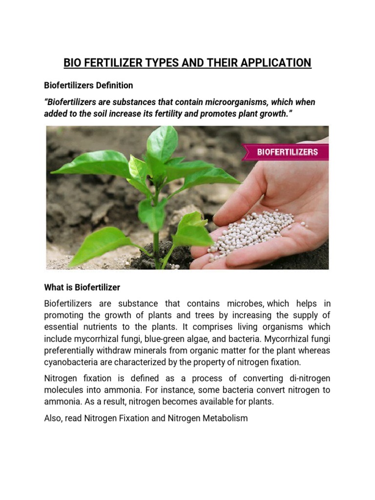 Bio Fertilizer Types and Their Application | PDF | Fertilizer | Plants