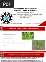 Medicinal Plants Cultivation Guide | PDF | Plant Nursery | Sowing