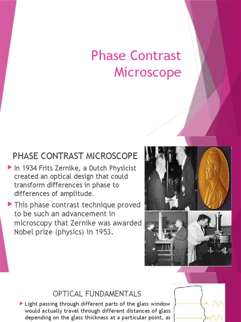 Understanding Phase Contrast Microscopes | PDF