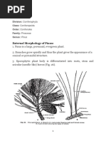 Blotter Test Method | PDF | Seed | Germination