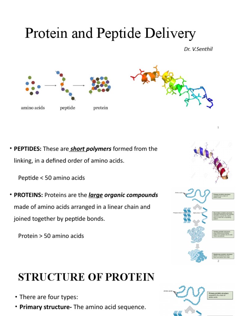 Protein and Peptide Delivery Overview | PDF | Proteins | Proteolysis