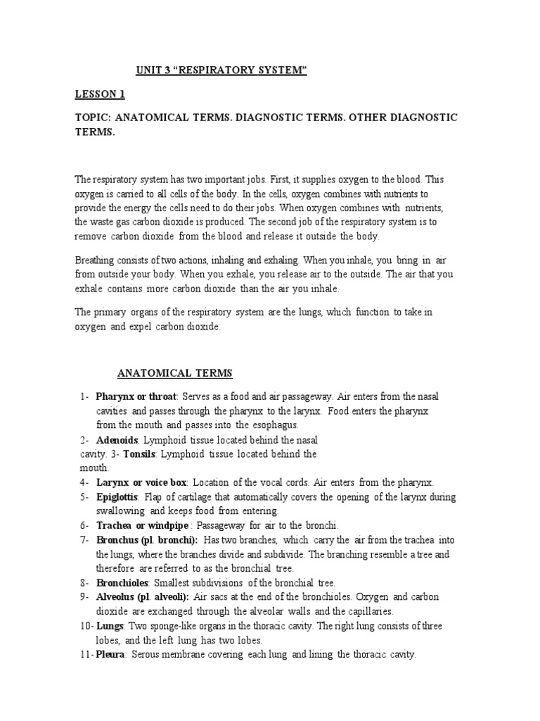Respiratory System Lesson 1 | PDF | Lung | Respiratory Tract