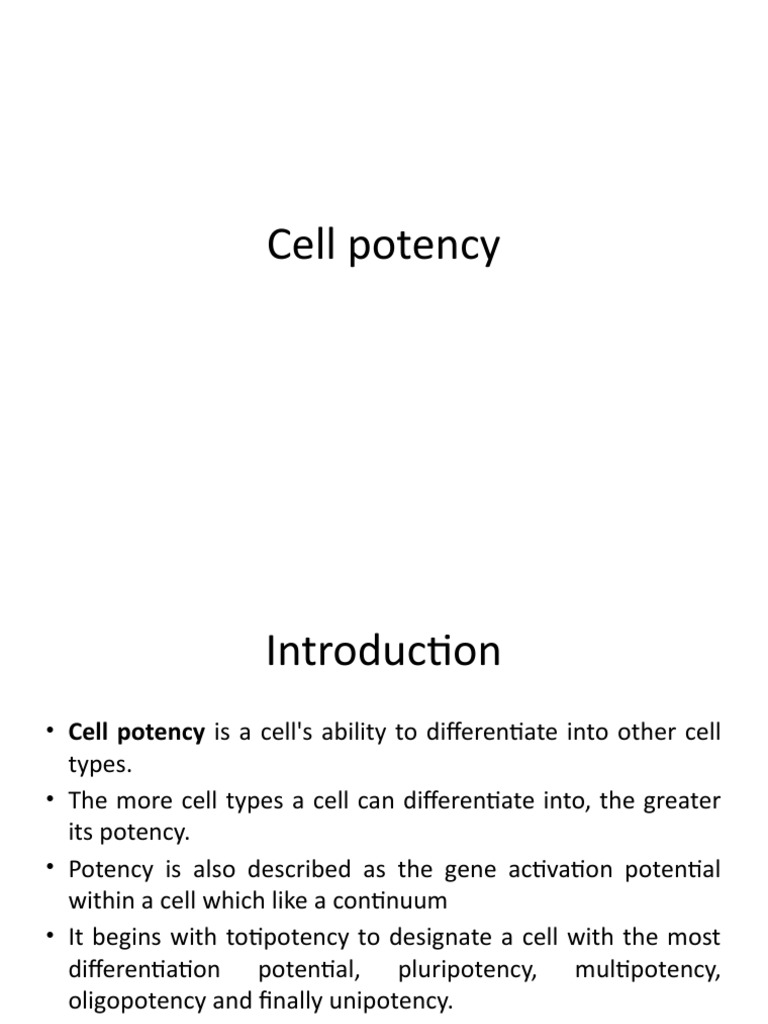Cell Potency | PDF | Cell Potency | Biology