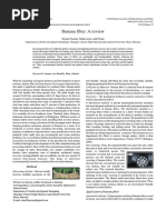 RRL Making Paper From Saba Banana Peel | PDF | Banana | Materials