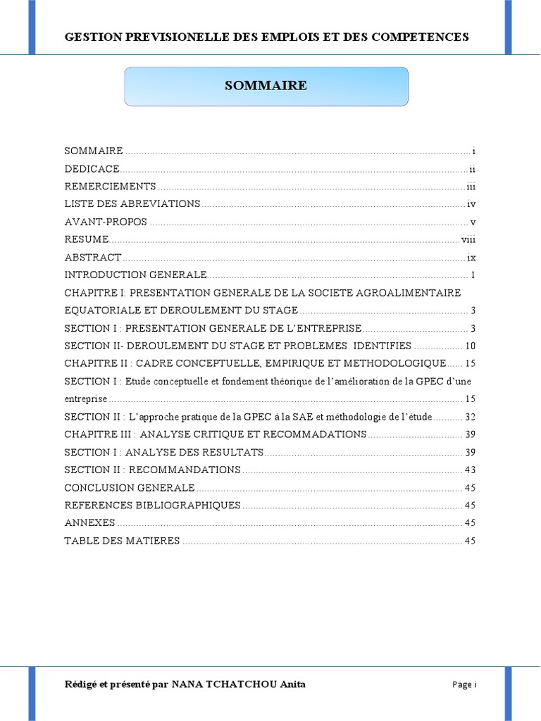 GPEC : Rapport de Stage et Recommandations | PDF | Compétence ...