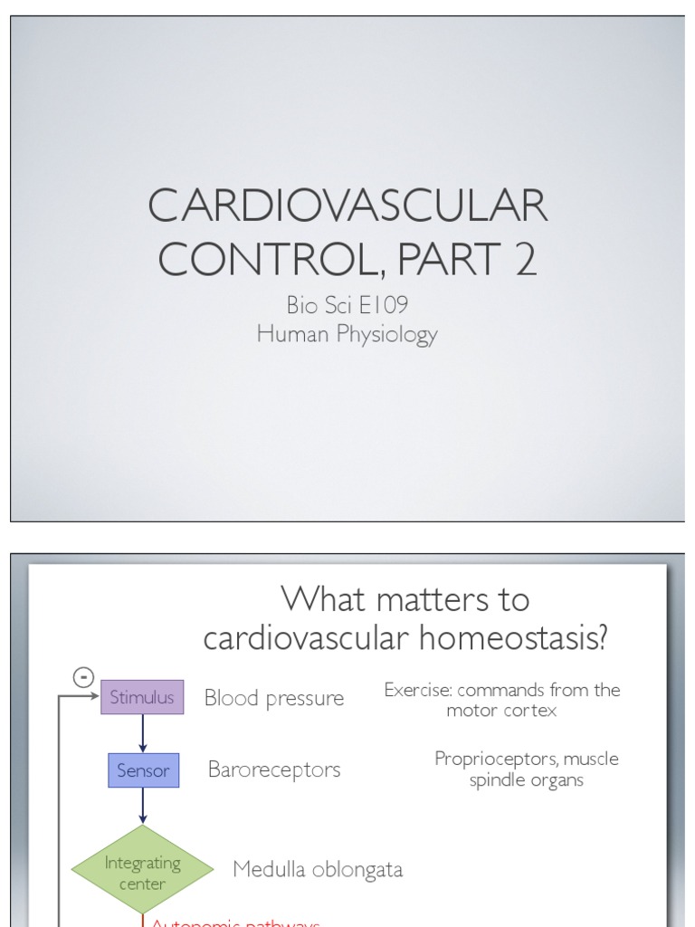 Cardiovascular Control, Part 2: Bio Sci E109 Human Physiology | PDF | Heart Rate | Norepinephrine
