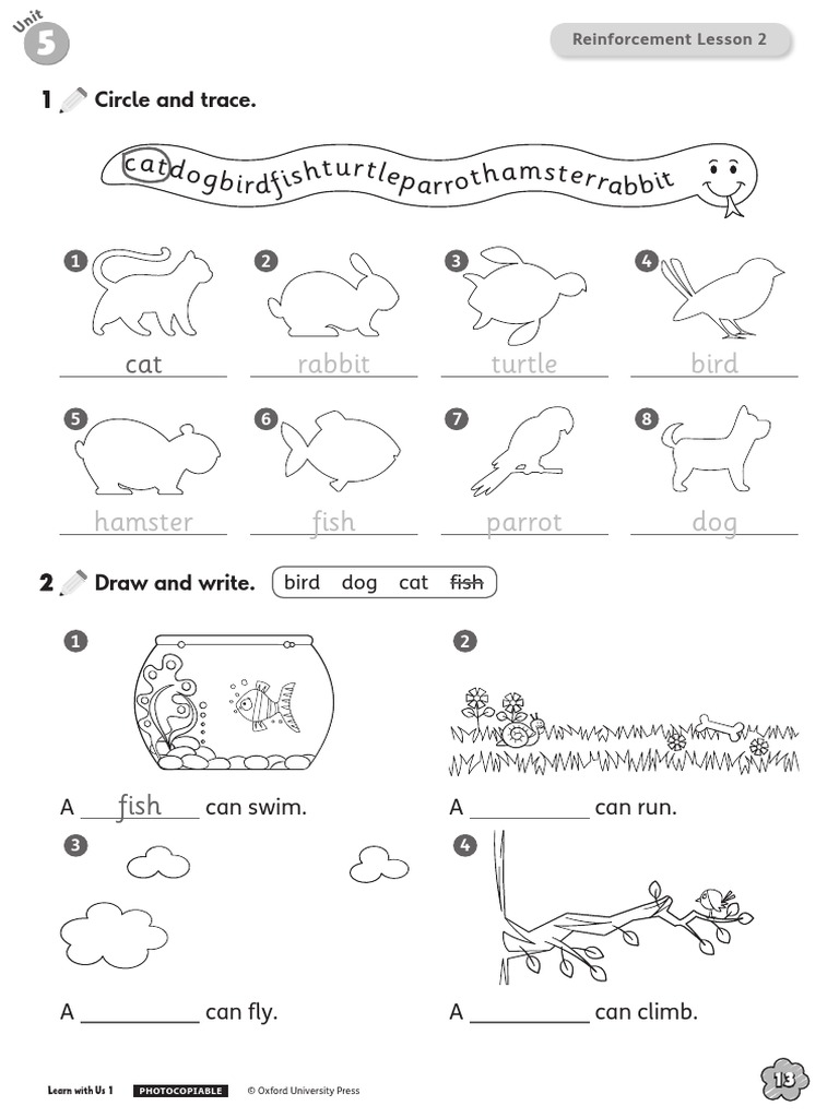 LWU 1 Reinforcement Unit 5 | PDF