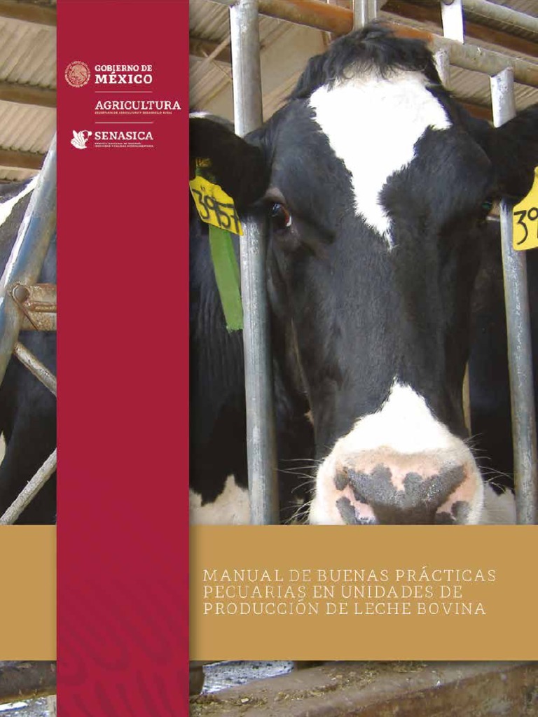 Manual de BPP Producci N de Leche Bovina 2019 | PDF | Leche | Alimentos