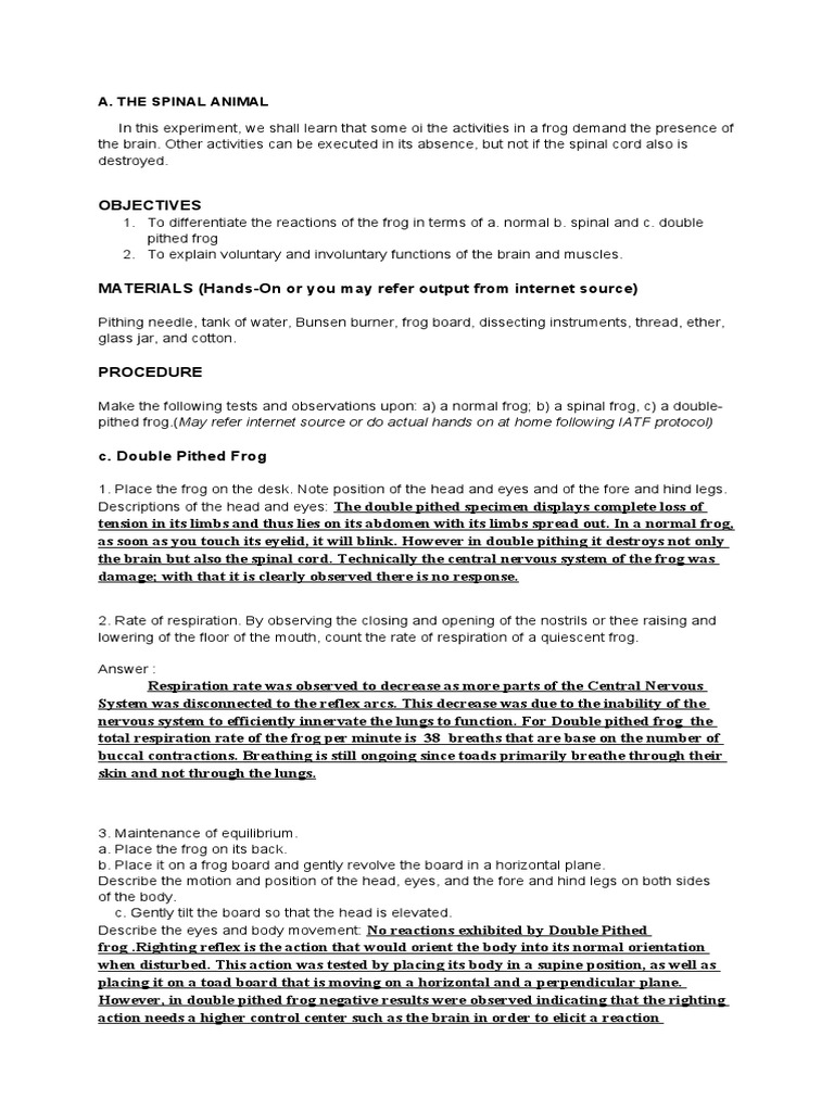 Double-Pithed Frog | PDF | Frog | Brain