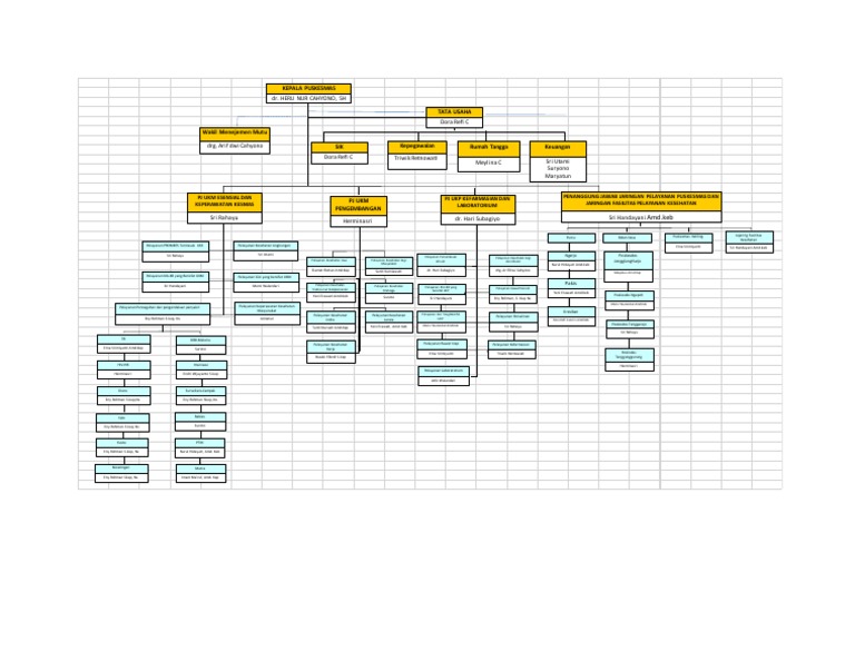 Struktur Organisasi Puskesmas | PDF