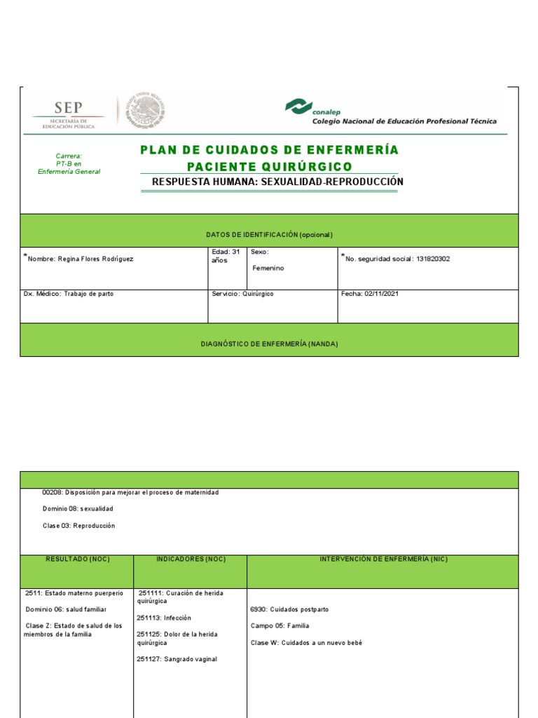 Place Embarazo 00208 | PDF | Parto | Herida