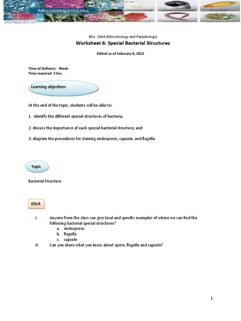 Worksheet 6: Special Bacterial Structures: Learning Objectives | PDF ...