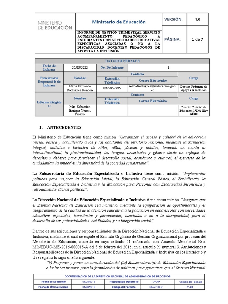 Informe Ejemplo | PDF | Inclusión (Educación) | Aprendizaje