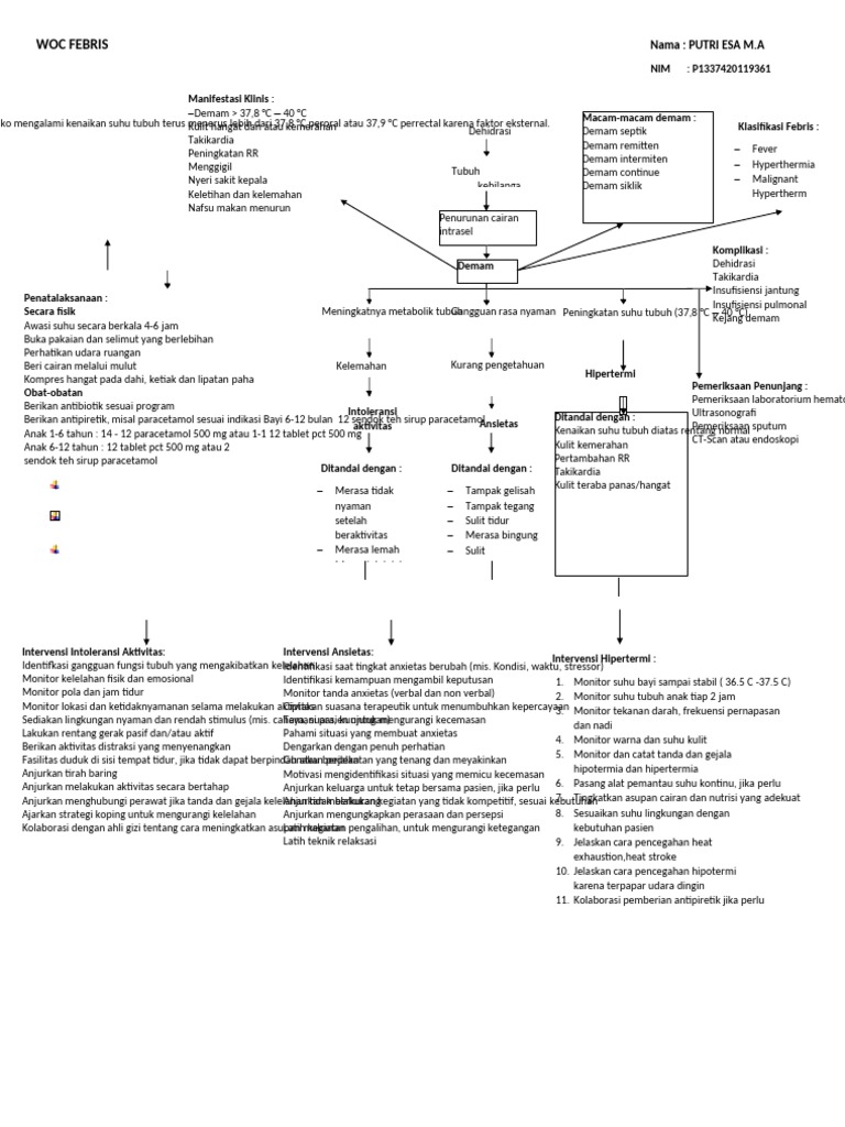 WOC FEBRIS AMAL-dikonversi | PDF