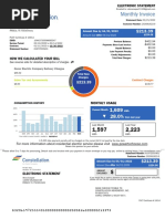 Duke Energy Bill | PDF