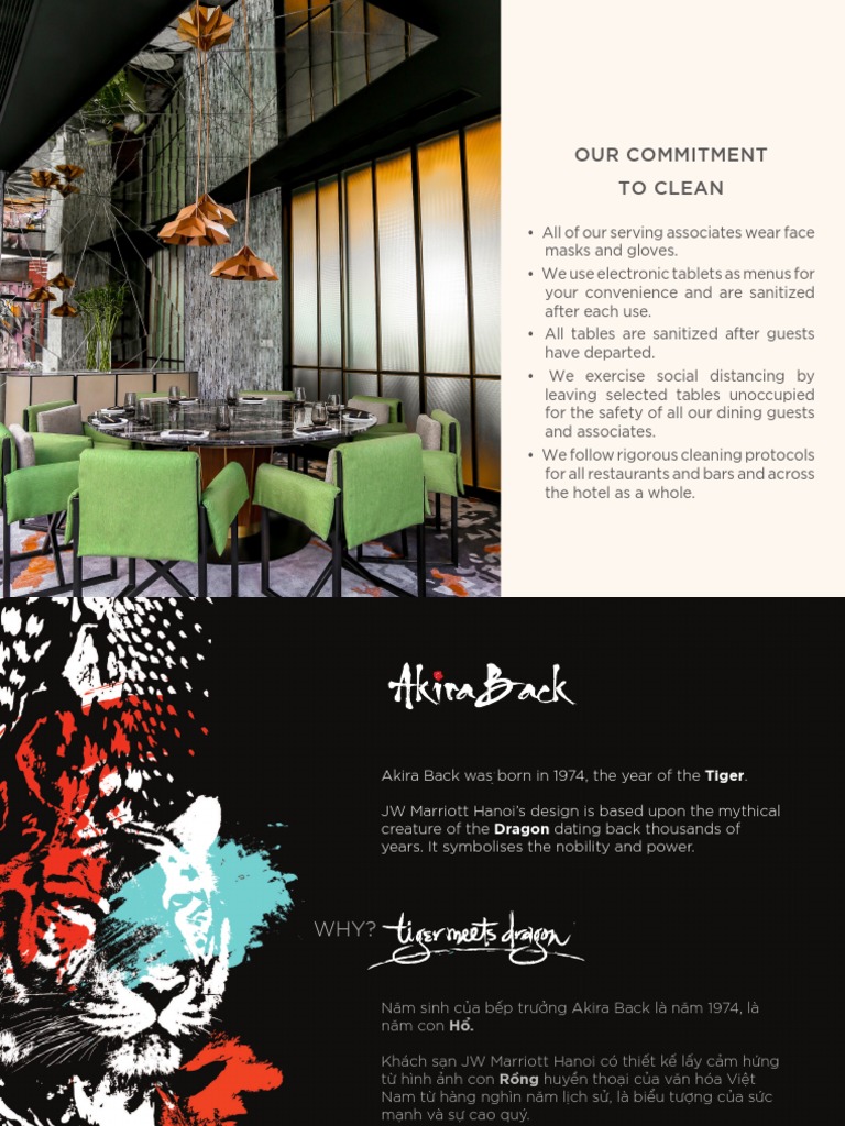 Akira Back Menu | PDF