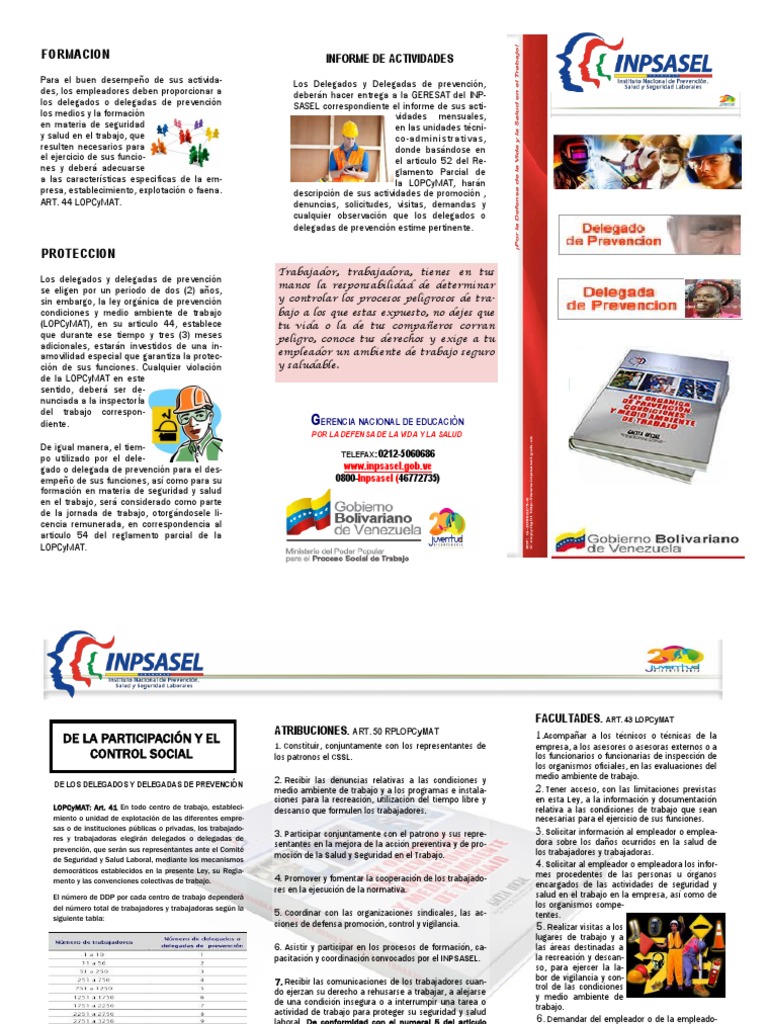 DDP informe actividades | PDF | Seguridad y salud ocupacional