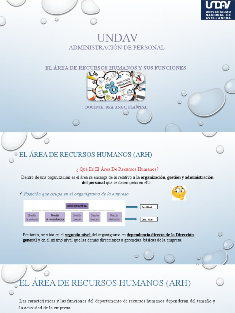 ARH y Sus Funciones | PDF | Gestión de recursos humanos | Salario