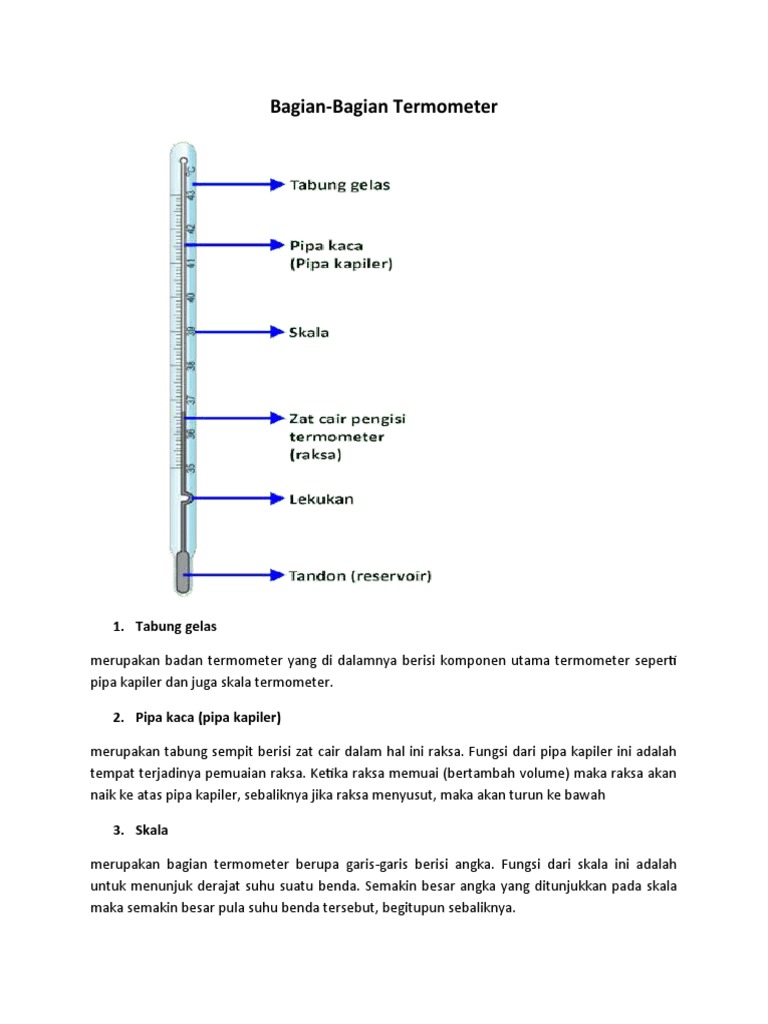 Bagian Bagian Thermometer | PDF