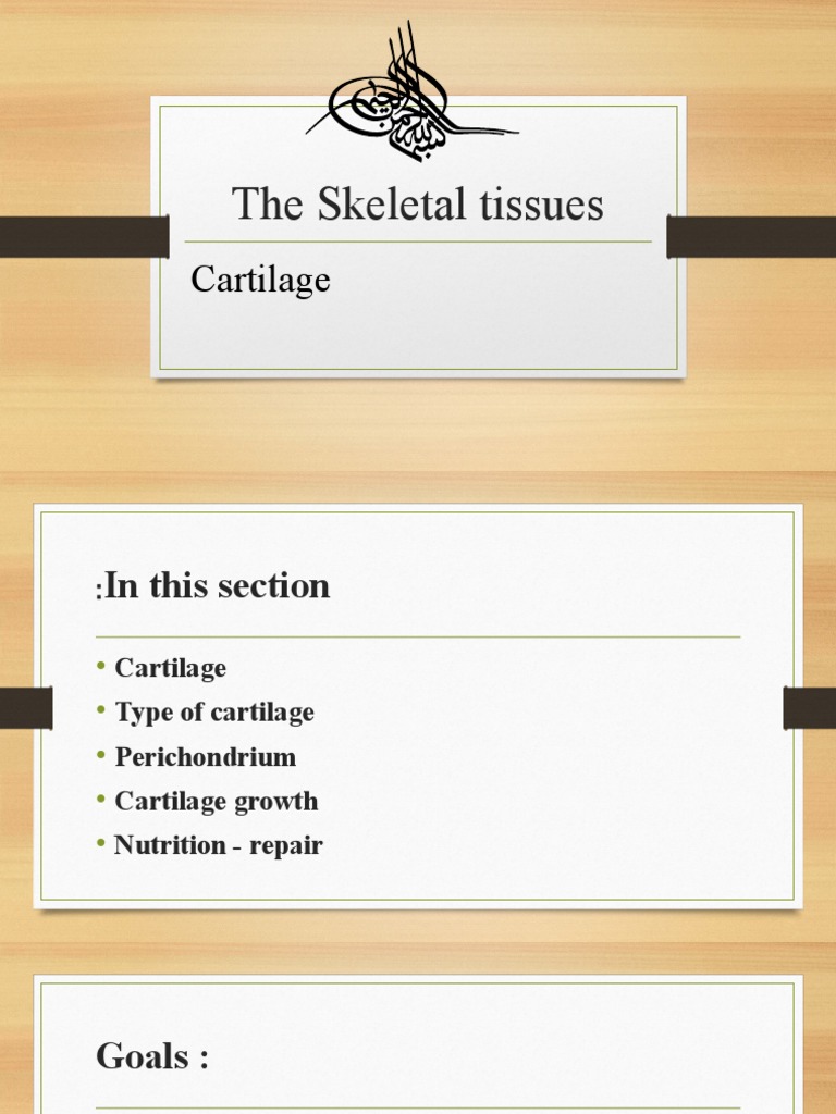 Cartilage 1 | PDF