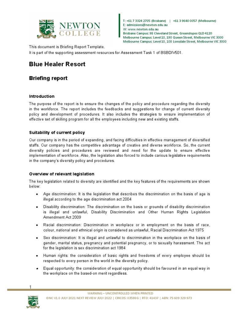 Briefing Report Template | PDF