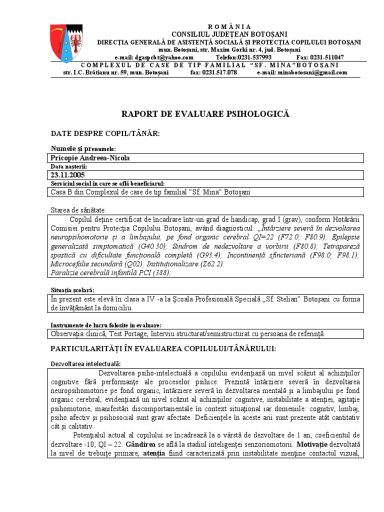 Raport de Evaluare Psihologica PAN | PDF