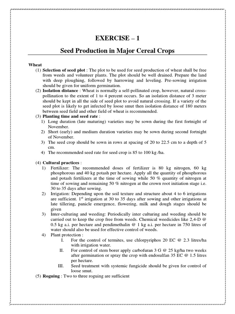 Seed Production of Cereals Crops | PDF | Sowing | Seed