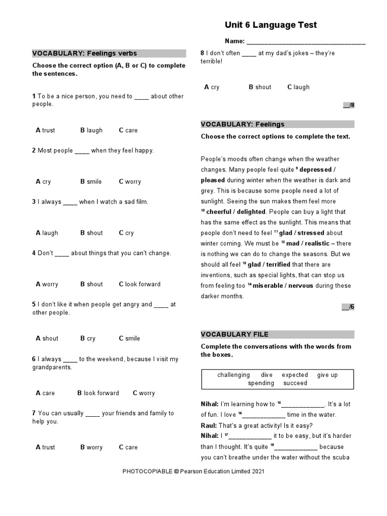 Unit 6 Language Test: VOCABULARY: Feelings Verbs | PDF