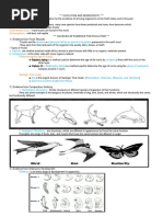 Evidence of Evolution Answer Key | PDF | Anatomy | Organisms