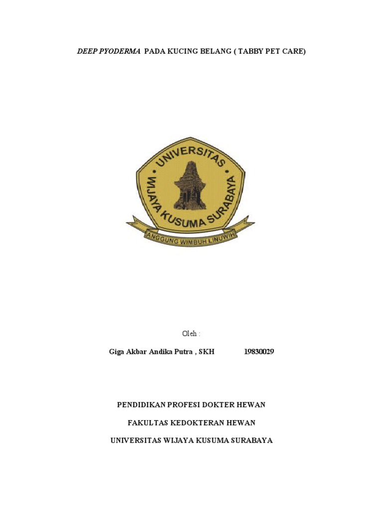 Interna Klinik | PDF