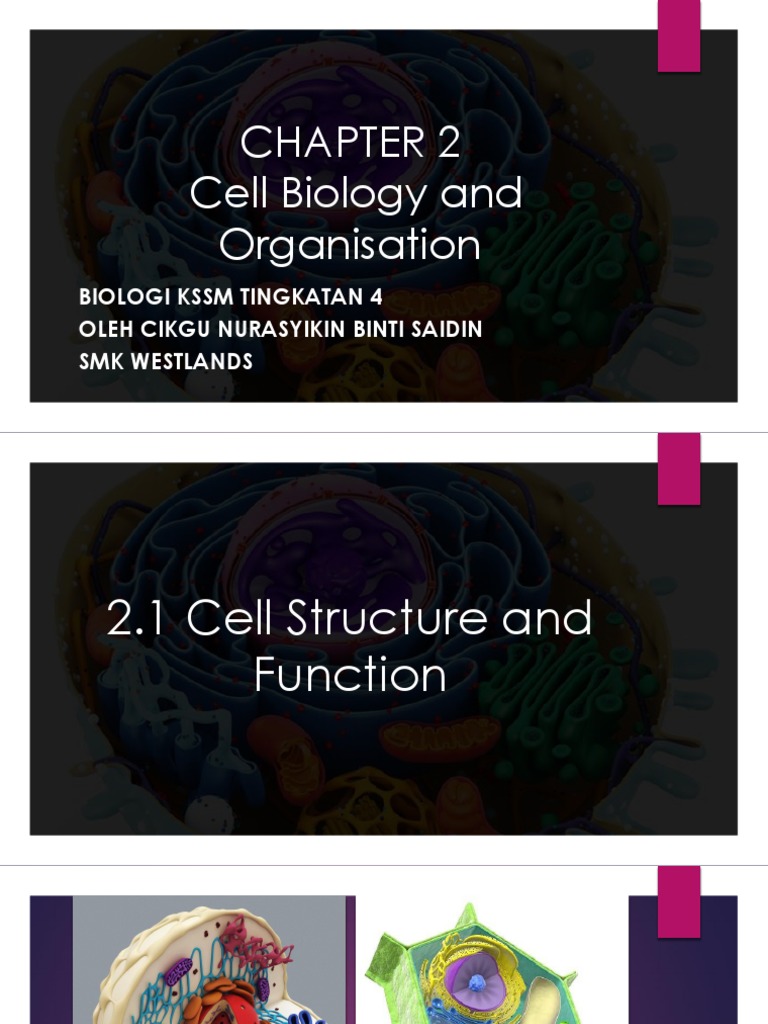 Bio F4 KSSM Chapter 2-DLP | PDF | Human Body | Tissue (Biology)