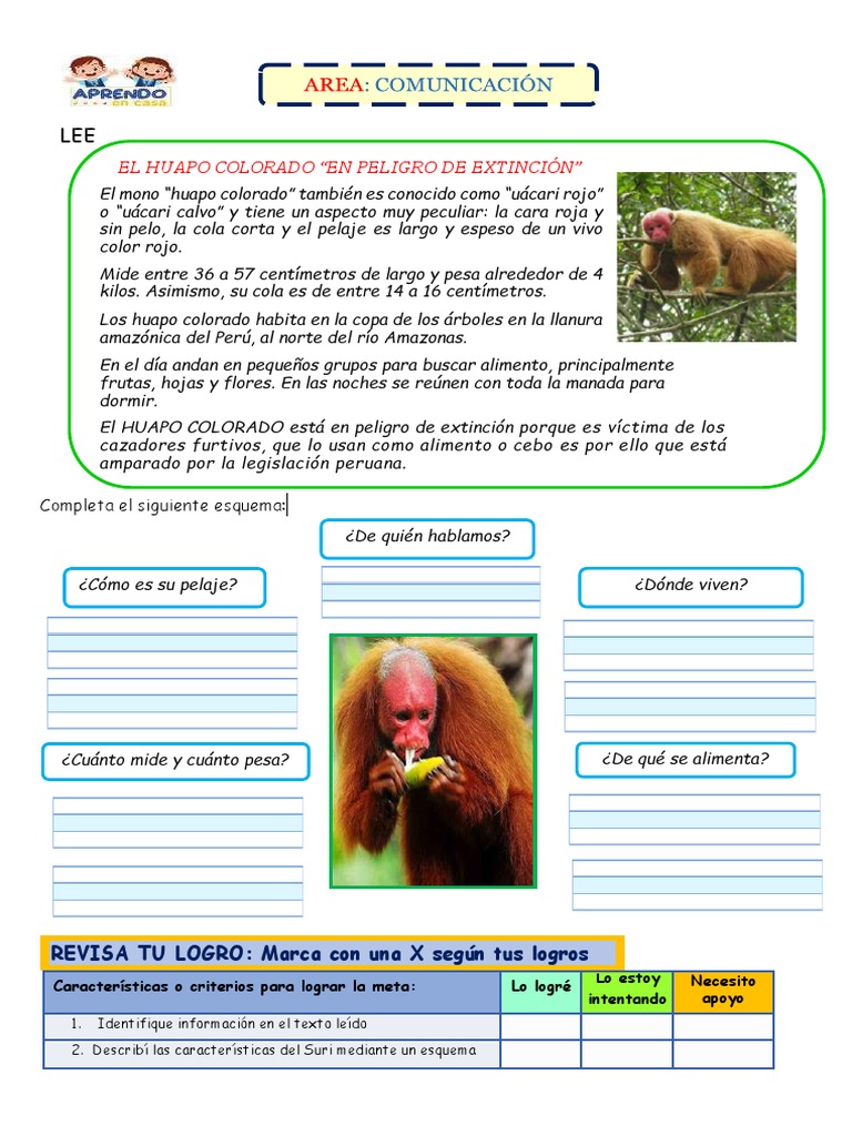 El Huapo Colorado | PDF