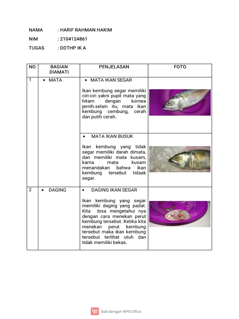 Ciri-Ciri Ikan Kembung Segar dan Busuk | PDF
