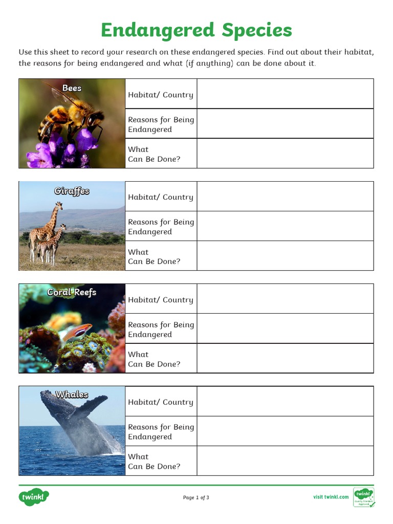 Endangered Species Activity Sheet | PDF | Endangered Species | Habitat