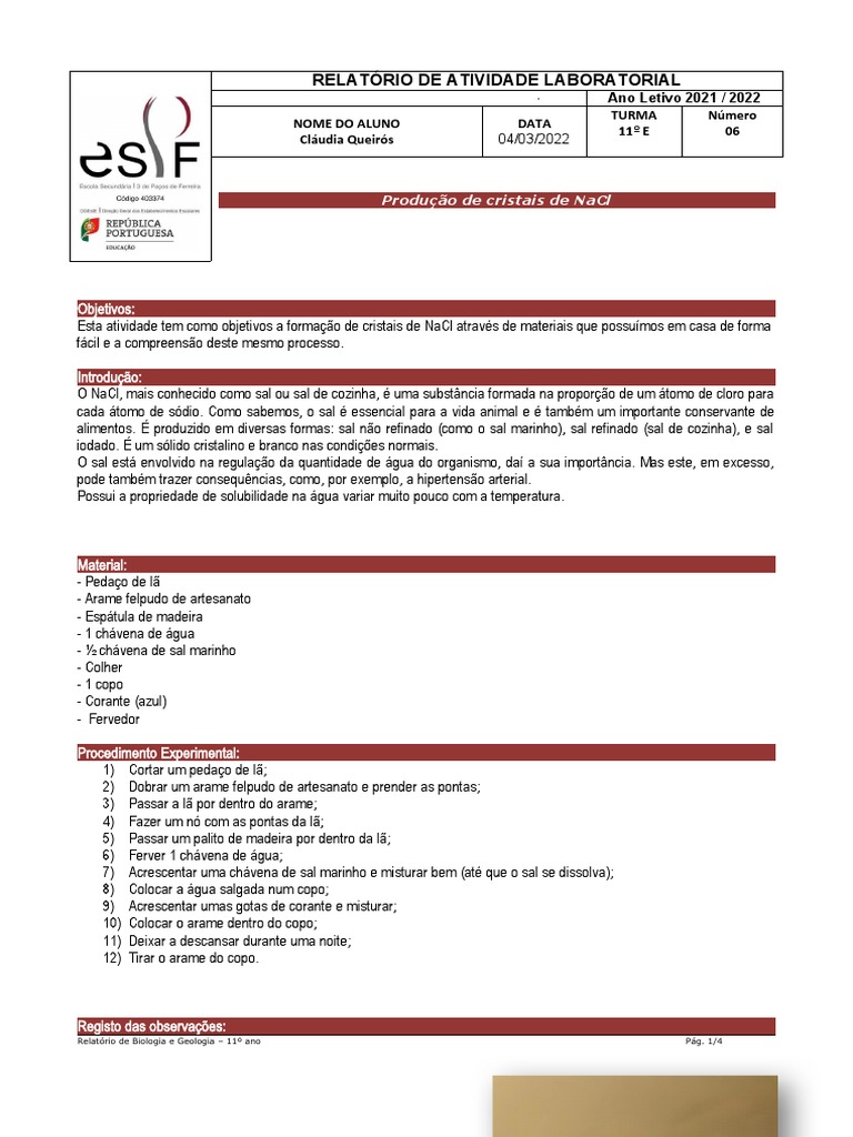 Modelo de Relat Rio - NaCl Cláudia Queirós | PDF | Água do mar | Cloreto de sódio