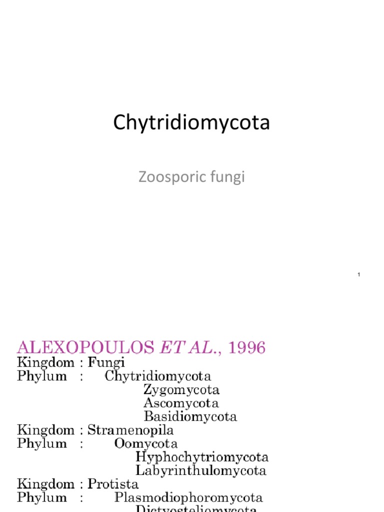 Chytridiomycota: Zoosporic Fungi | PDF | Fungus | Ploidy